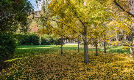 Enraizados - | Arquitectura, diseño y decoración