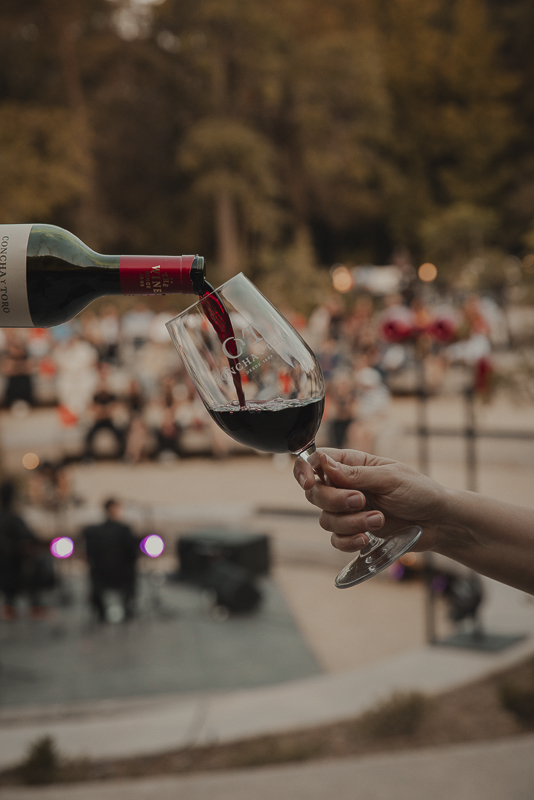 Concha y Toro presentó la primera edición de sus Tiny Wine Concerts ...